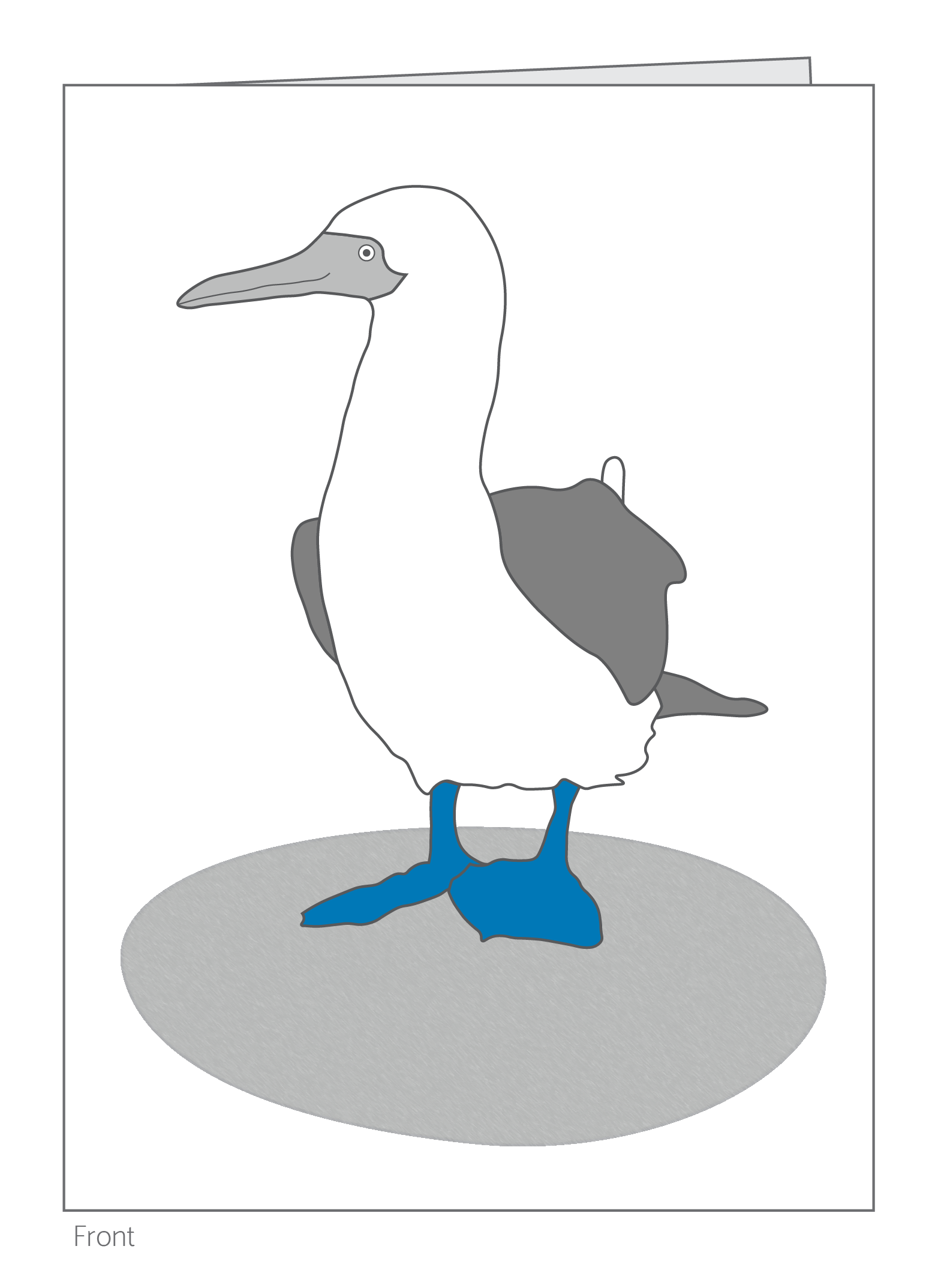 Blue-Footed Booby | Lavender Finch